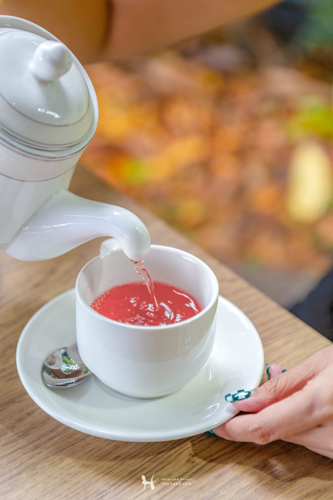 รีวิว ณ ทรีธารา ริเวอร์ไซด์ รีสอร์ท @อัมพวา