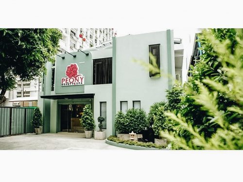 การตกแต่งผ่อนคลาย สดชื่นด้วยสัญลักษณ์ดอกพีโอนี่ ที่ปรากฎให้เห็นเป็นกิม ...